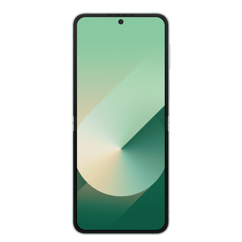 Samsung Galaxy Z Flip6 | Munt | 256GB | Uitstekend | ZFLIP6_256_Mint_B